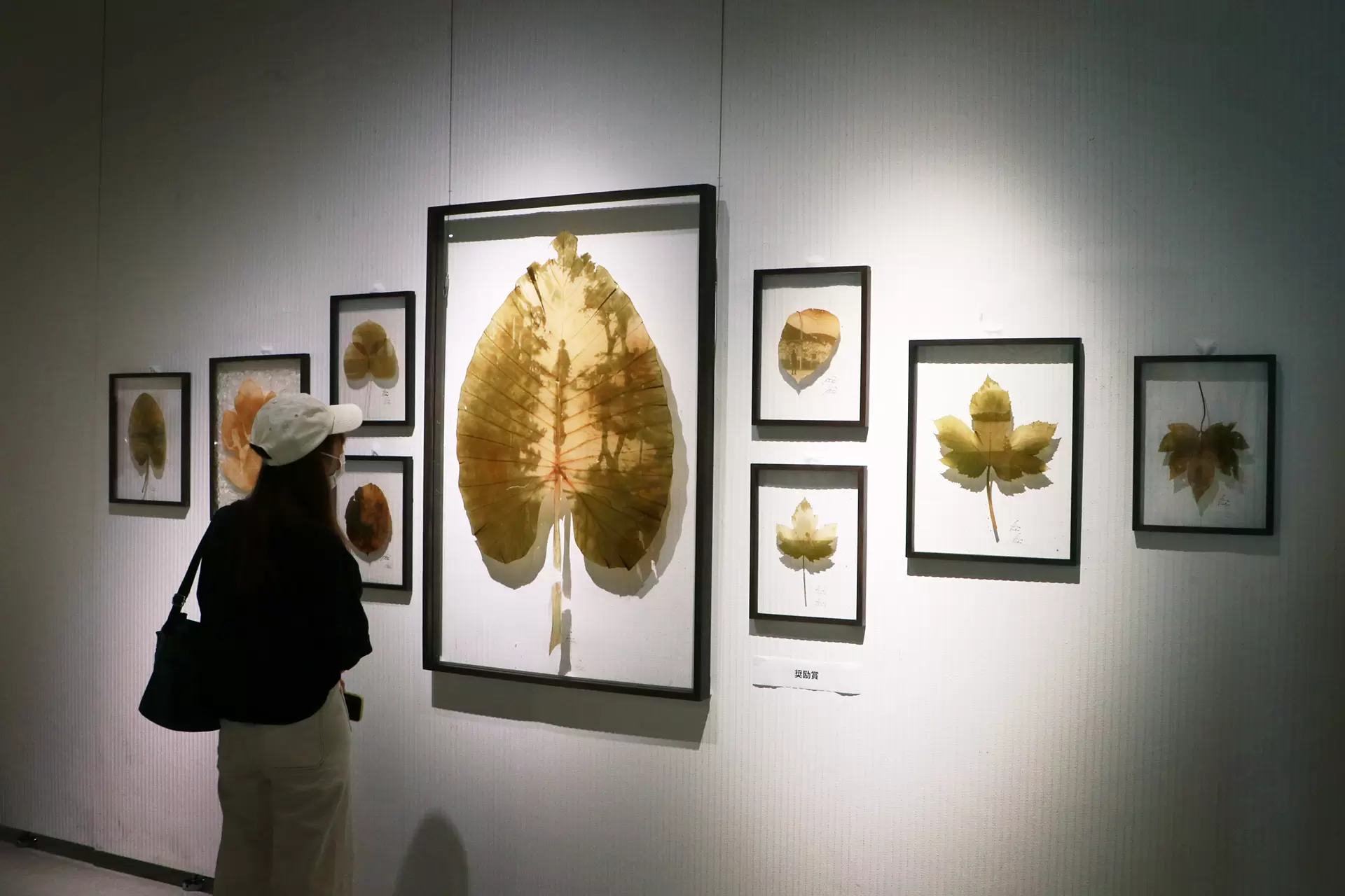 Hiro CHIBA | SYNAPSE | ArtSticker