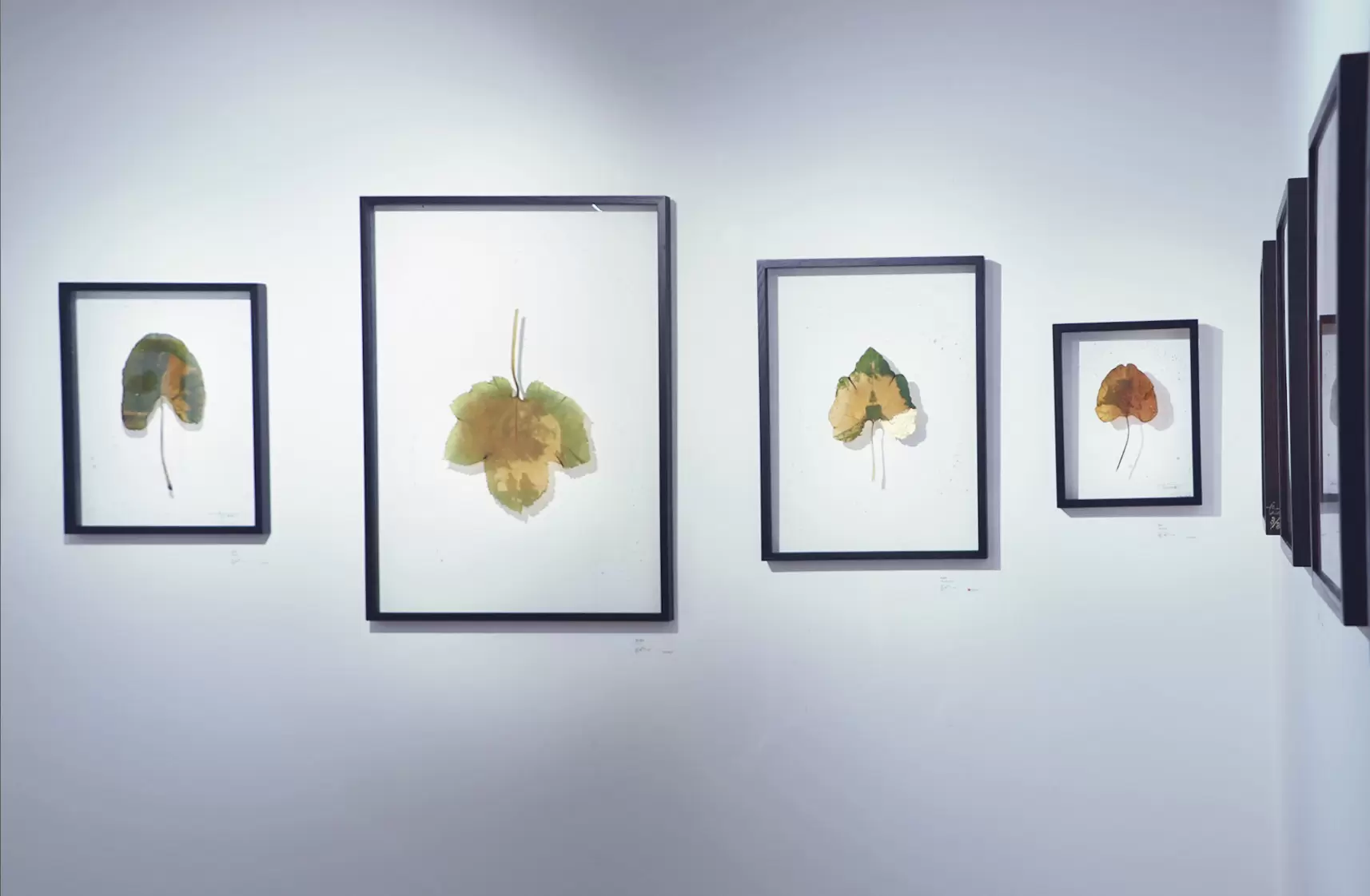 Hiro CHIBA | SYNAPSE | ArtSticker