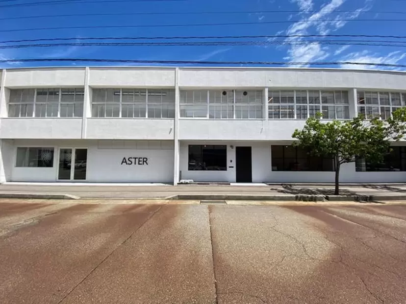 ASTER Curator Museum | ArtSticker