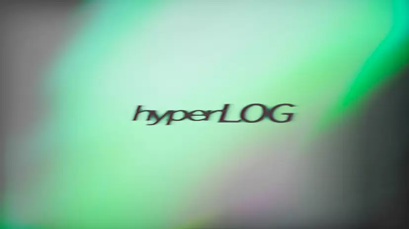 「D-art,ART 2022」 | ArtSticker