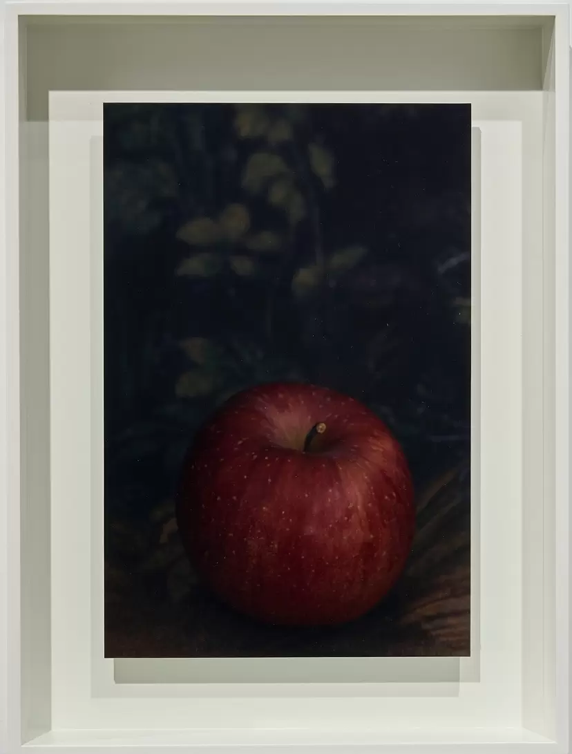 Untitled by 上田 義彦 | 現代アートの販売・通販 | ArtSticker