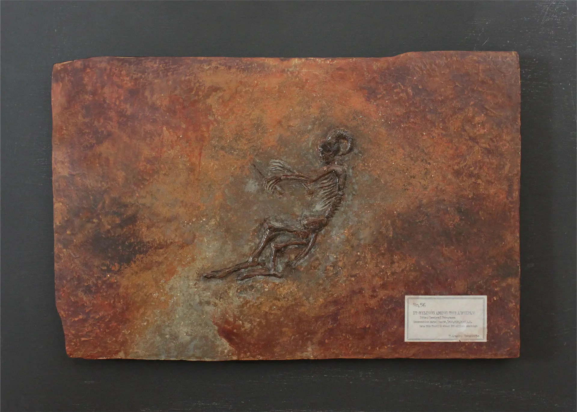 アイギパンの一種 “IT BELONGS AMONG THE AIGIPAN” by 天久 高広 | 現代アートの販売・通販 | ArtSticker