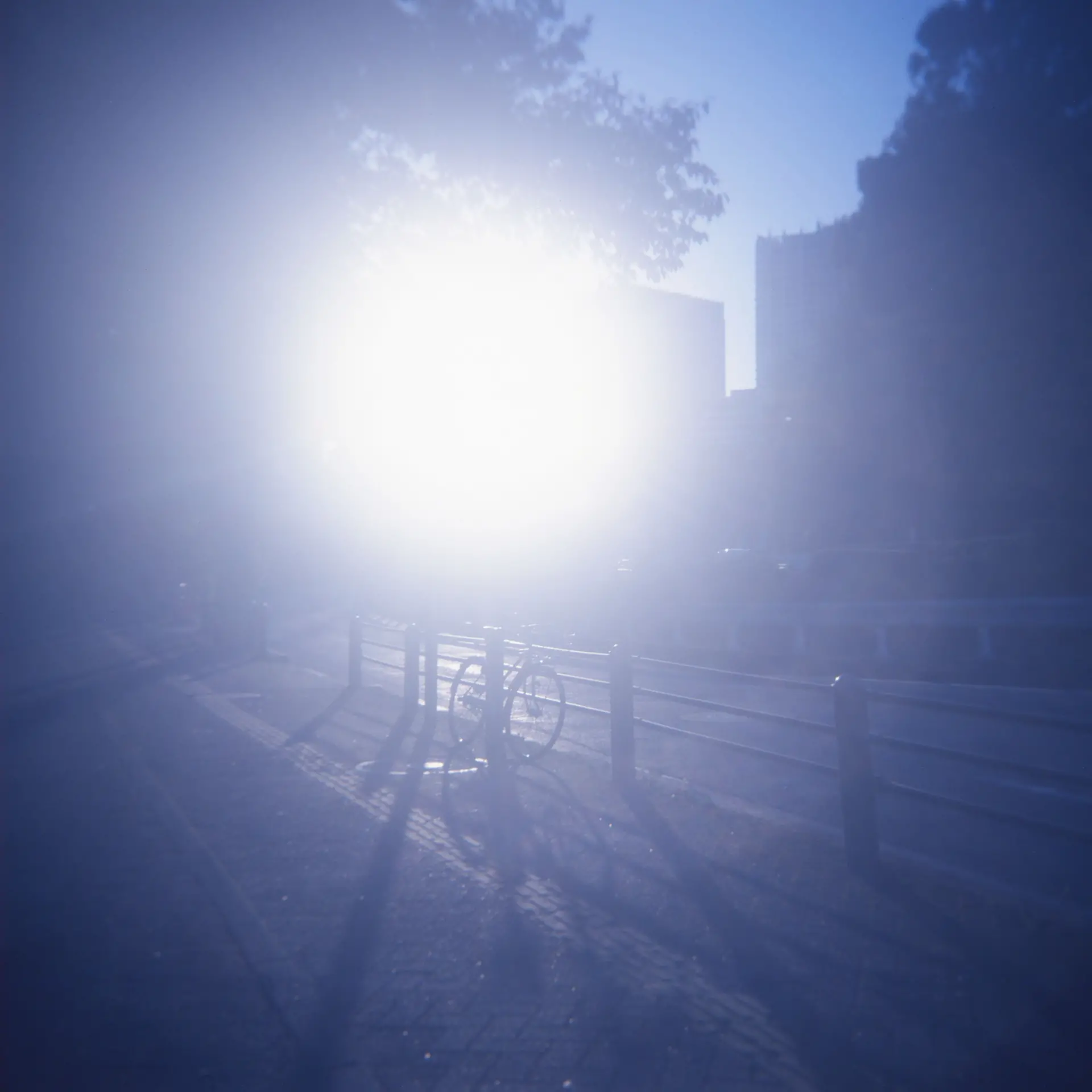 Hello#6 by 三井 彩紗 Ayasa Mitsui | 現代アートの販売・通販 | ArtSticker