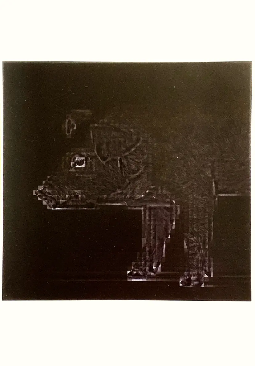 2.5次元伝説（pig） by Moheji Active Records | 現代アートの販売・通販 | ArtSticker