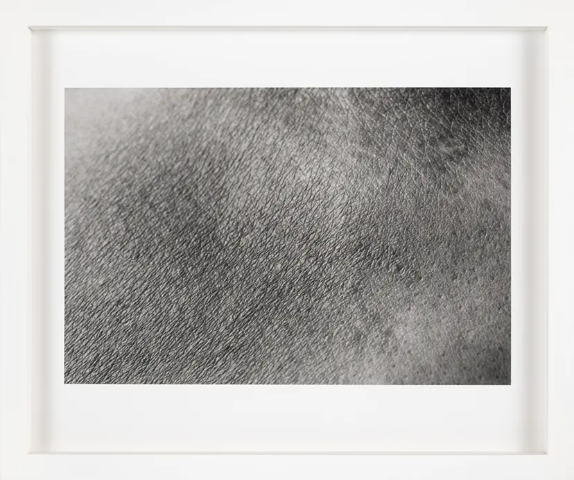 皮膚 / skin scape #017 by 大河原 光 | 現代アートの販売・通販 | ArtSticker