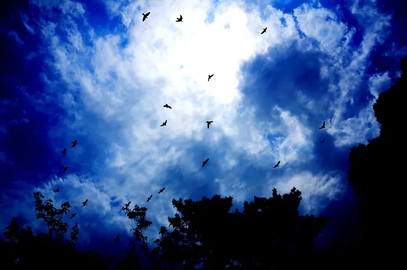 Beautiful Sky by Sato-C | 現代アートの販売・通販 | ArtSticker