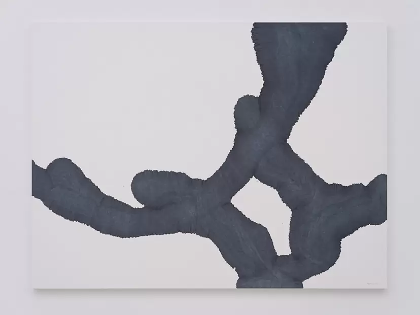 Ayako Someya のアート作品 | 現代アートの販売・通販 | ArtSticker