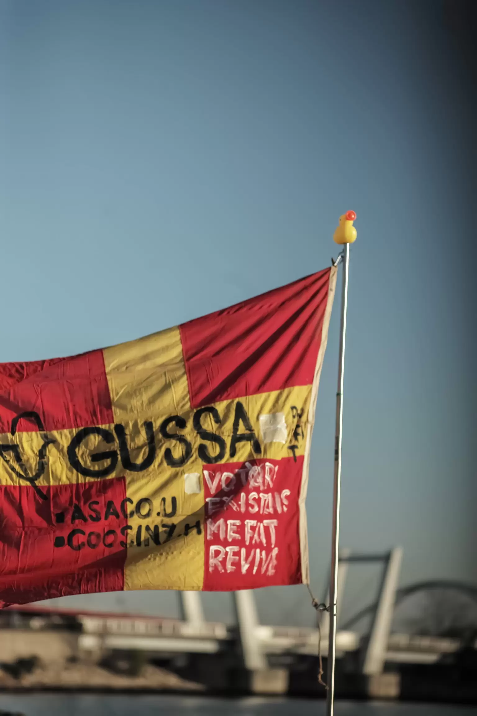 GUSSA FLAG by AKILLER & COOSINZ | 現代アートの販売・通販 | ArtSticker