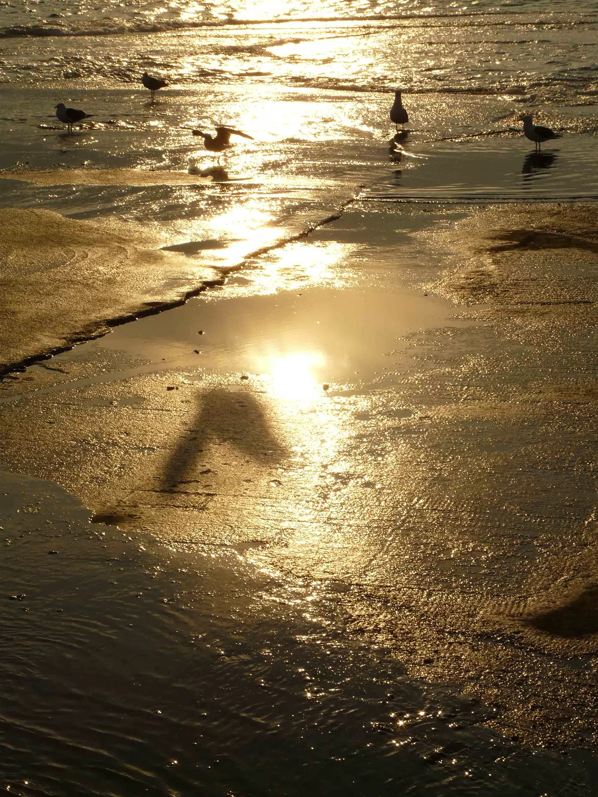 Objects_20 by 大塚 和也 | 現代アートの販売・通販 | ArtSticker