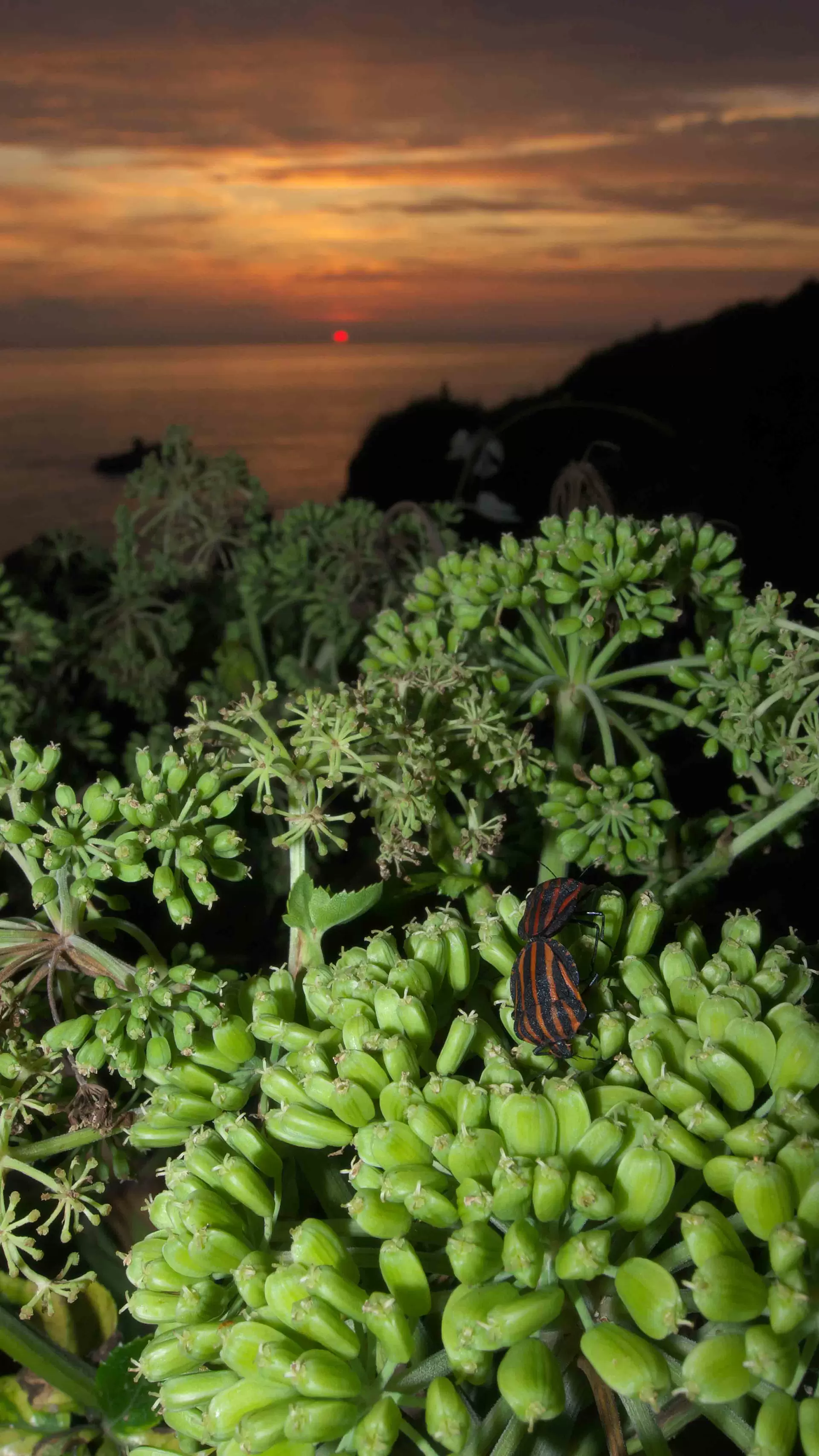 Objects_28 by 大塚 和也 | 現代アートの販売・通販 | ArtSticker